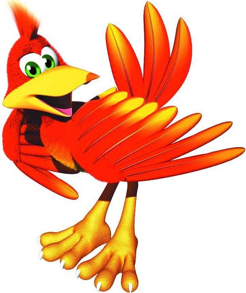 Kazooie | Video Game Characters Wiki | Fandom