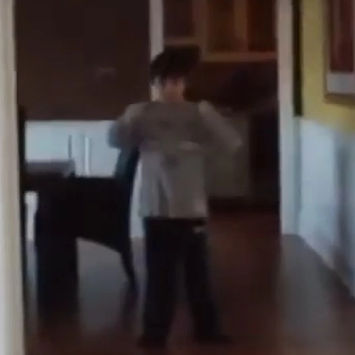 The Brother | VGHW Wiki | Fandom