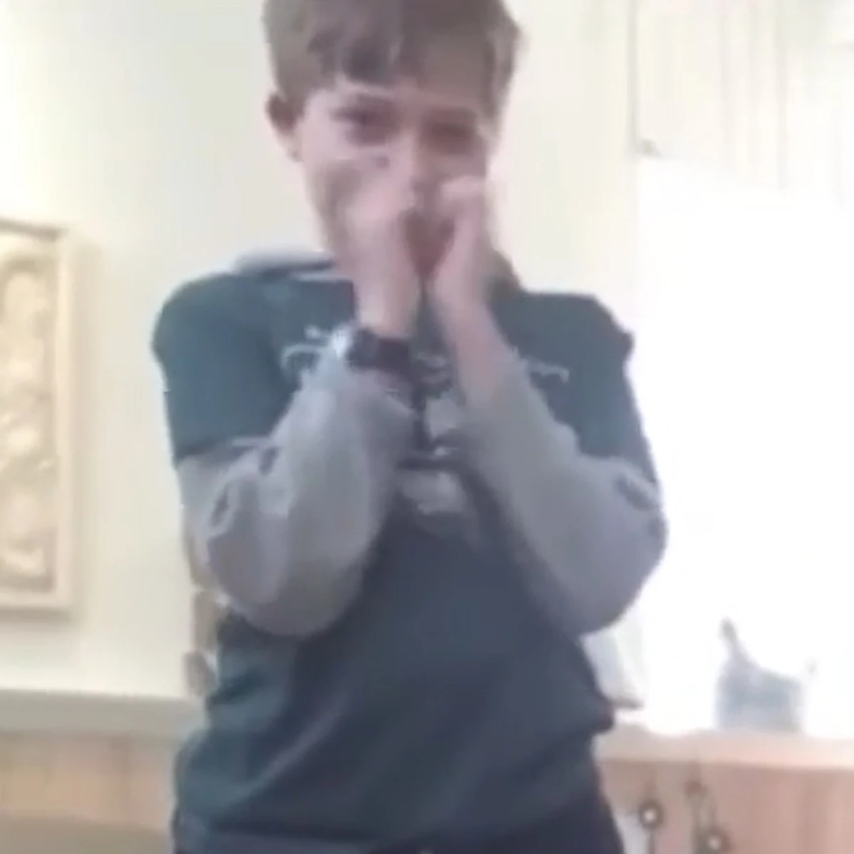 Nice Clone | VGHW Wiki | Fandom