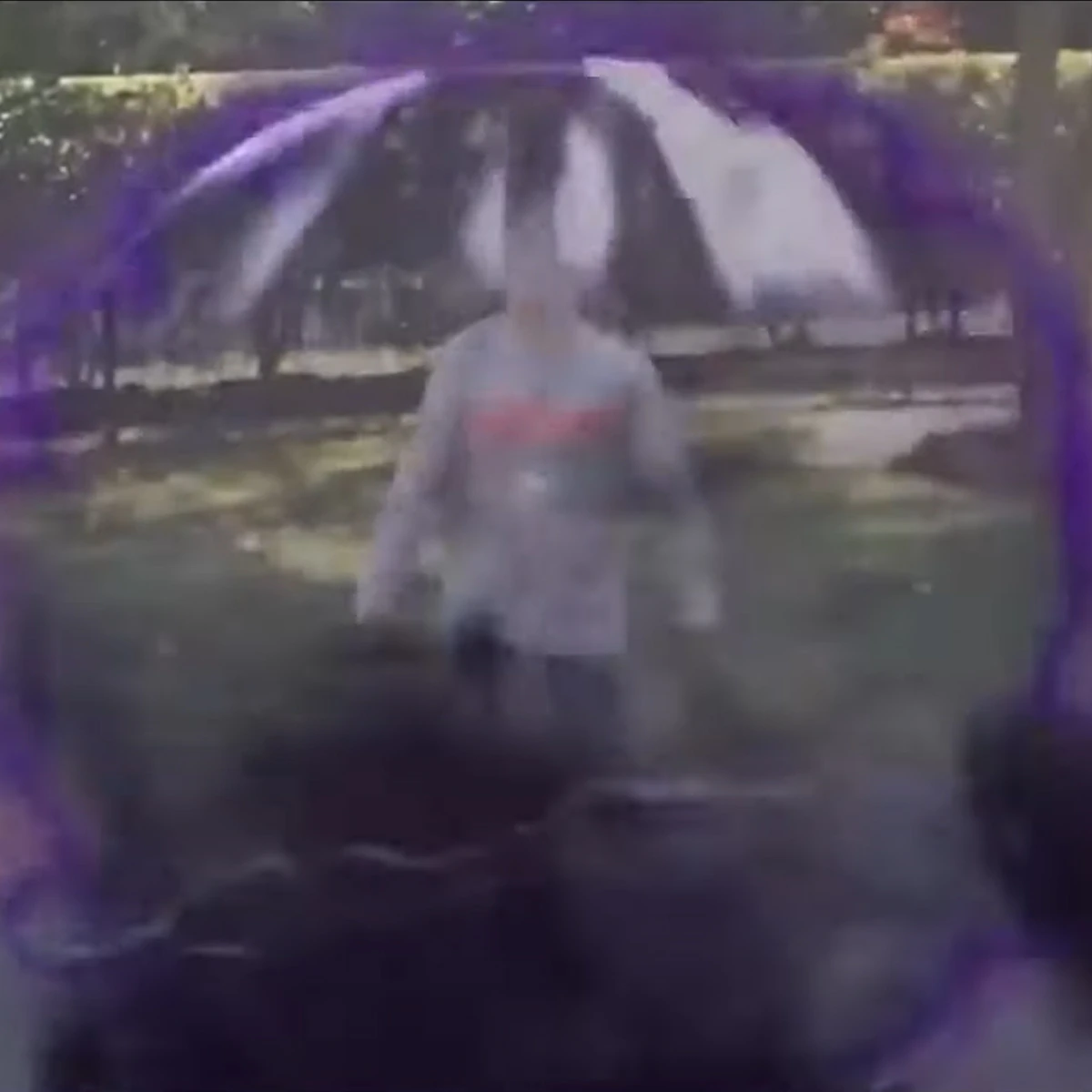 Purple Ring | VGHW Wiki | Fandom