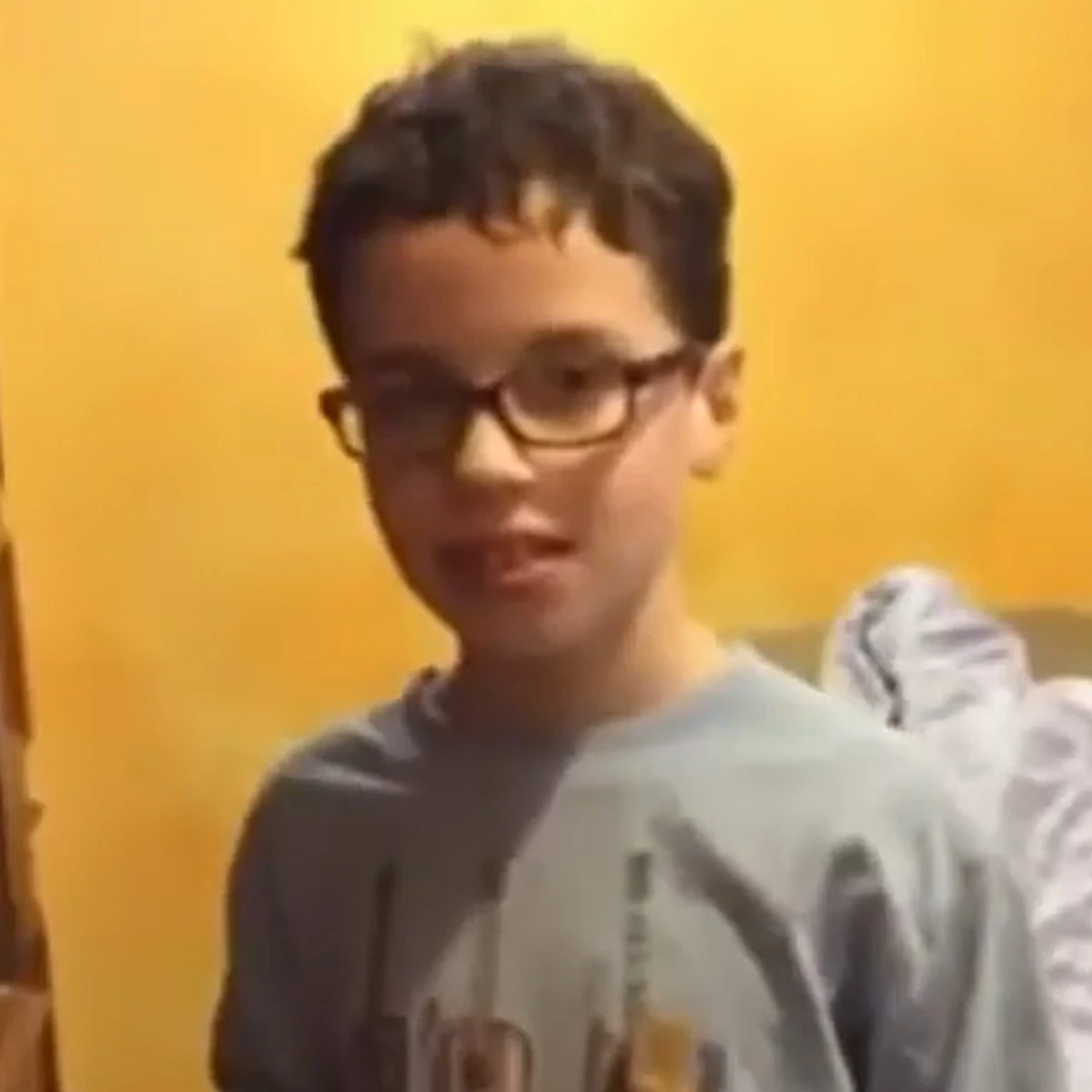 Owl | VGHW Wiki | Fandom