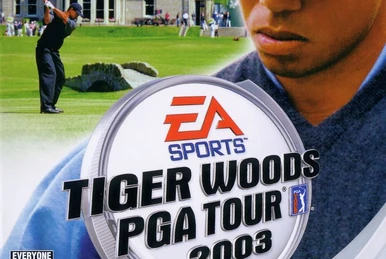 tiger woods 2004 ost