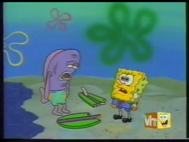 Screenbugs | VH1 Broadcast Archives Wiki | Fandom