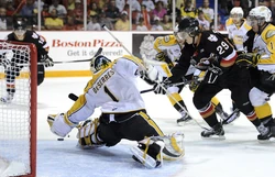 Zach Voss | Victory Hockey League Wiki | Fandom