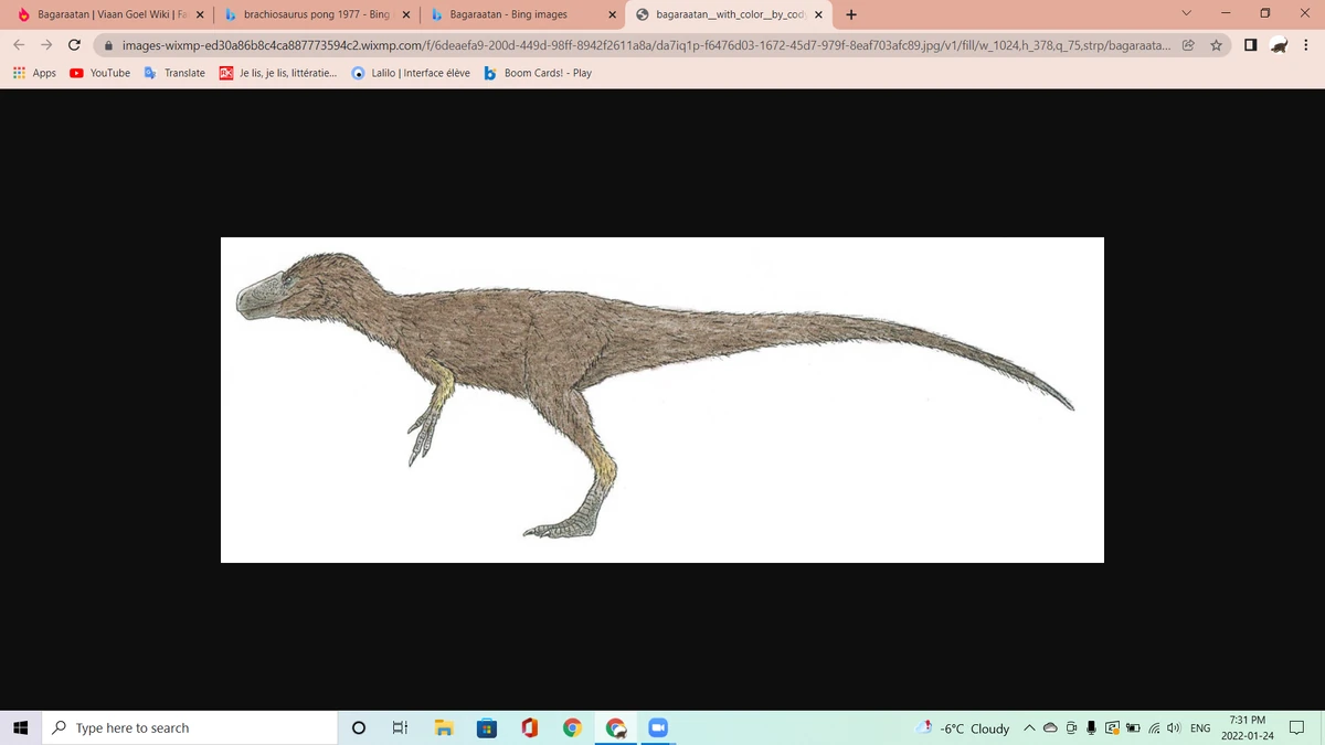 Bagaraatan | Viaan Goel Wiki | Fandom