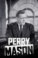 Perry Mason | Paramount Wiki | Fandom