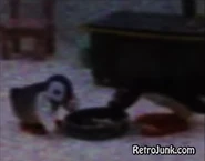 Cancelled Pingu Finale Ending | VibingLeaf Wiki | Fandom