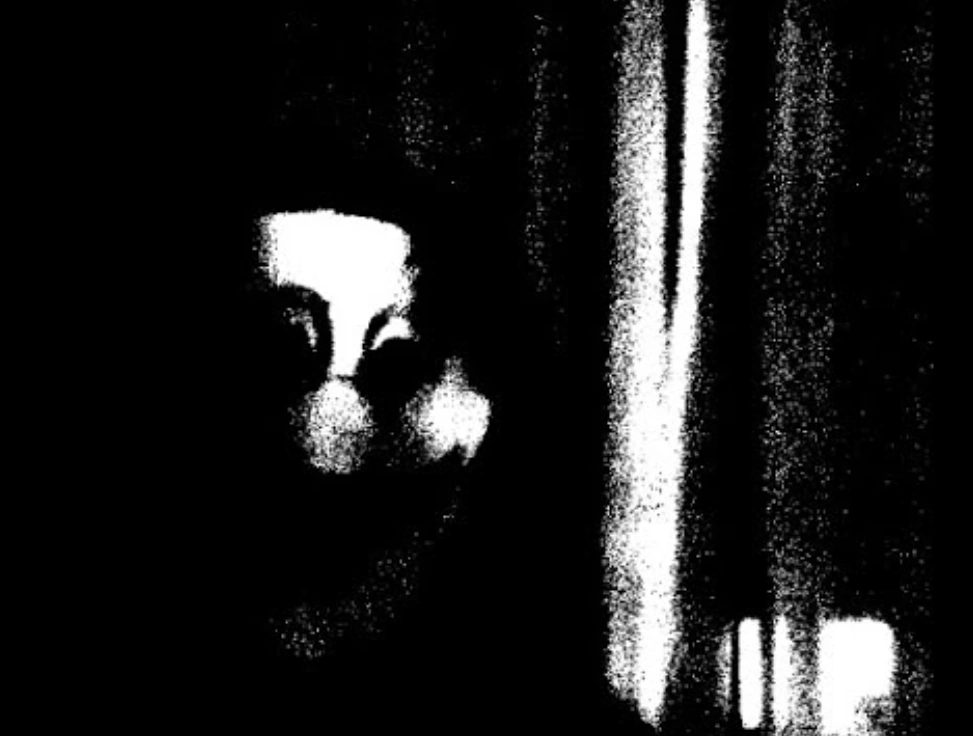 Mario victimization | VibingLeaf Wiki | Fandom