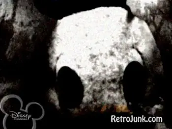 Disney Channel Hijacked in Local Bahamas Area | VibingLeaf Wiki | Fandom