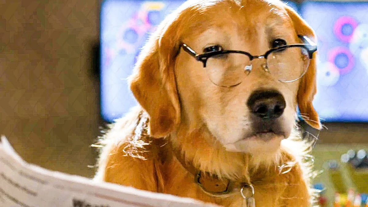 Ed | Vicious Bee Community Wiki | Fandom