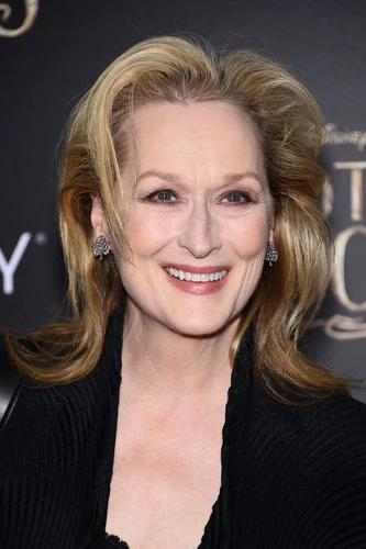 Meryl Streep | Wiki Victopedia | Fandom