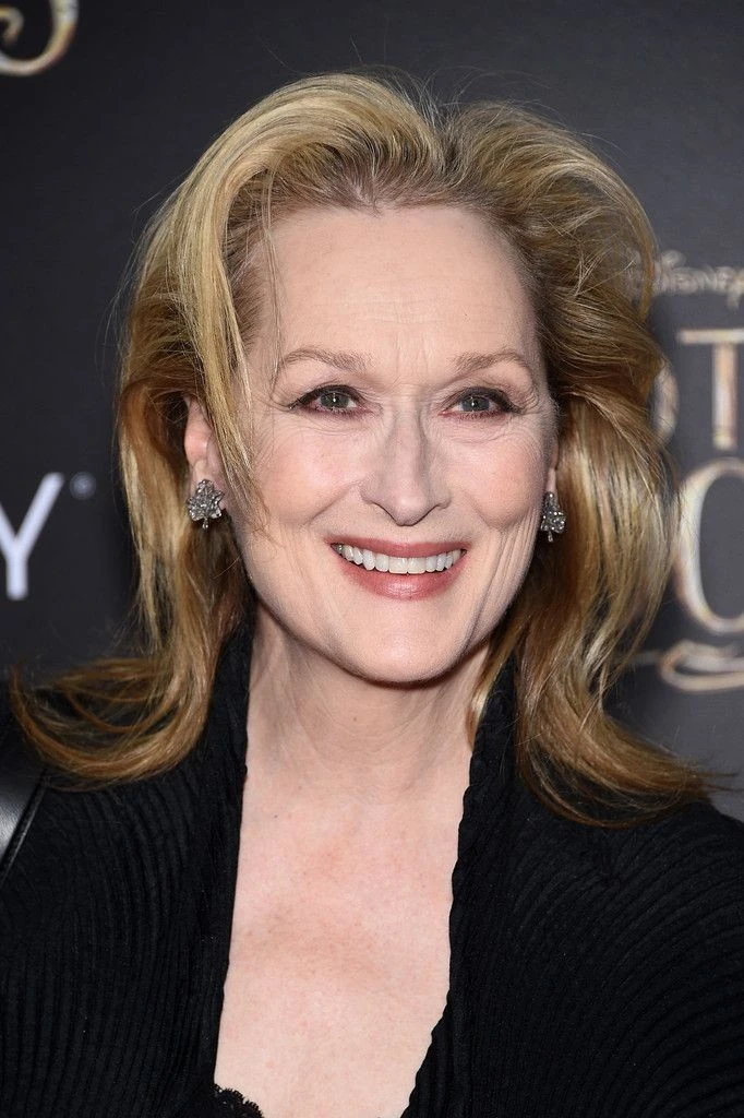 Meryl Streep | Wiki Victopedia | Fandom