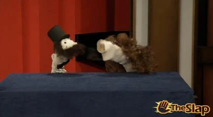 Sinjin's Sock Puppets | Victorious Wiki | Fandom