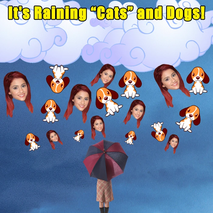 Cat Pun Fun | Victorious Wiki | Fandom