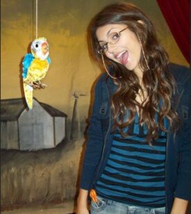 The Bird Scene | Victorious Wiki | Fandom