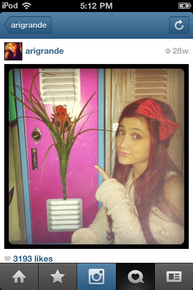 User blog:ScissorLuvHappyCat/Cat's Locker? | Victorious Wiki | Fandom