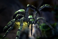 Spider Matron - Official Victor Vran Wiki