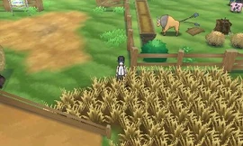 Paniola Ranch | Victory Road Wiki | Fandom