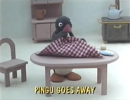Pingu - The Biggest Video Ever! | Video Collection International Ltd ...
