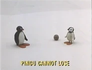 Pingu - The Biggest Video Ever! | Video Collection International Ltd ...