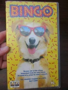 Bingo | Video Collection International Wikia | Fandom