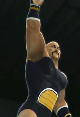 Nappa | Video Game Championship Wrestling Wiki | Fandom