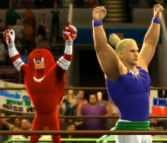 Final Fantasy 3 & Knuckles | Video Game Championship Wrestling Wiki ...