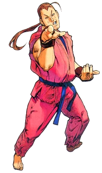 Dan Hibiki | Video Game Championship Wrestling Wiki | Fandom