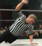 Referee | Video Game Championship Wrestling Wiki | Fandom