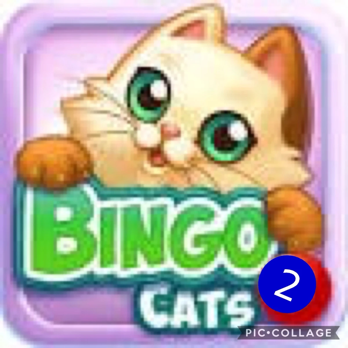 Bingo Cat 2 | Video Game Fanon Wiki | Fandom