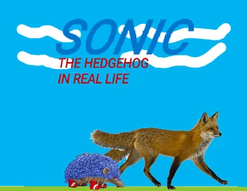 Sonic IRL 1 | Video Game Fanon Wiki | Fandom