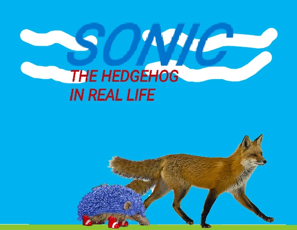 Sonic IRL 1 | Video Game Fanon Wiki | Fandom