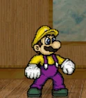 Newer Super Mario Bros. Wii (fanon) | Video Game Fanon Wiki | Fandom
