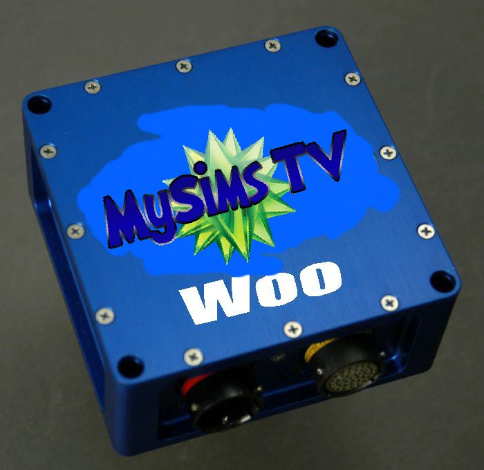 Woo | Video Games Fanon Wiki | Fandom