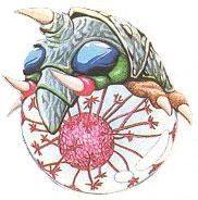 Metroid: Evolution | Video Games Fanon Wiki | Fandom