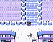 Pokemon Death Version | Videogaming Wiki | Fandom