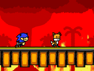 Sunky.MPEG | Videogaming Wiki | Fandom