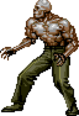 Robo X | Videogaming Wiki | Fandom
