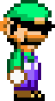 Luigi (I HATE YOU)/Gallery | Videogaming Wiki | Fandom