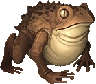 Toad | Videogaming Wiki | Fandom
