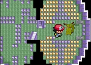 Pikachu (Pokemon.exe) | Videogaming Wiki | Fandom