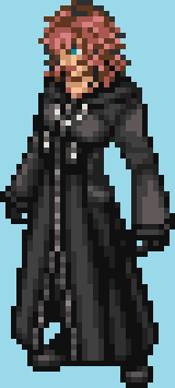 Marluxia | Videogaming Wiki | Fandom