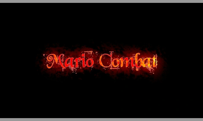 Mario-Combat | Videogaming Wiki | Fandom