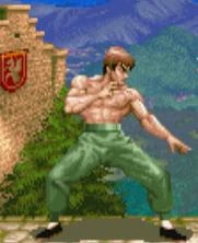 Fei Long | Wikijuegos | Fandom