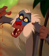 Rafiki | Wikijuegos | Fandom