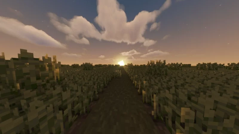 Level MC 10 - "The Bumper Crop" | Wiki Vietnamese Backrooms | Fandom