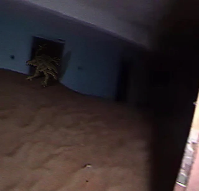 Thực thể số 5: "Clump" | Wiki Vietnamese Backrooms | Fandom