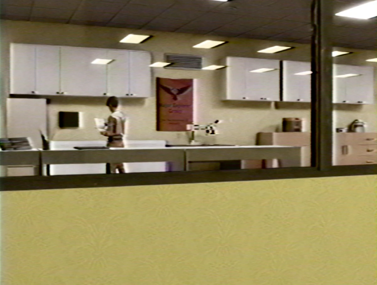 MEG (Lực lượng khai phá) | Wiki Vietnamese Backrooms | Fandom