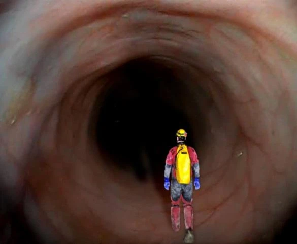 Level 504 - "Hệ tiêu hóa" (Phiên bản Che). | Wiki Vietnamese Backrooms ...