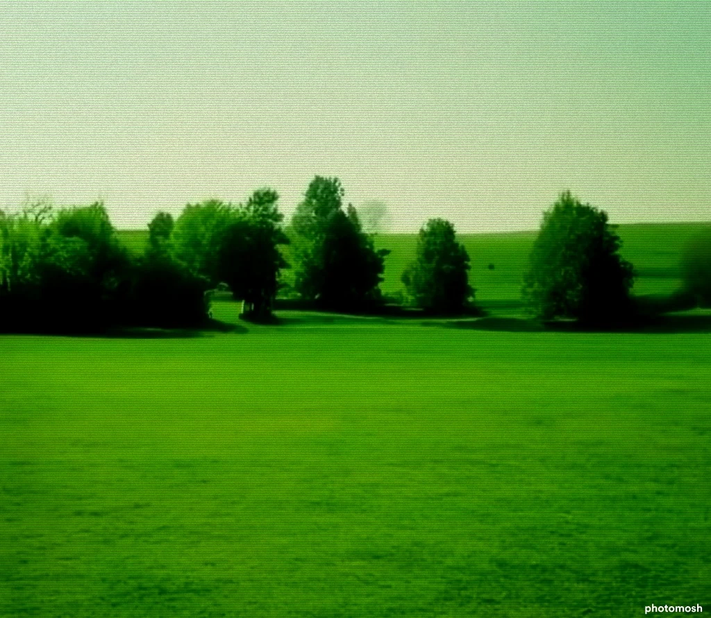 Level 12: "Cụm căn cứ bỏ hoang" | Wiki Vietnamese Backrooms | Fandom